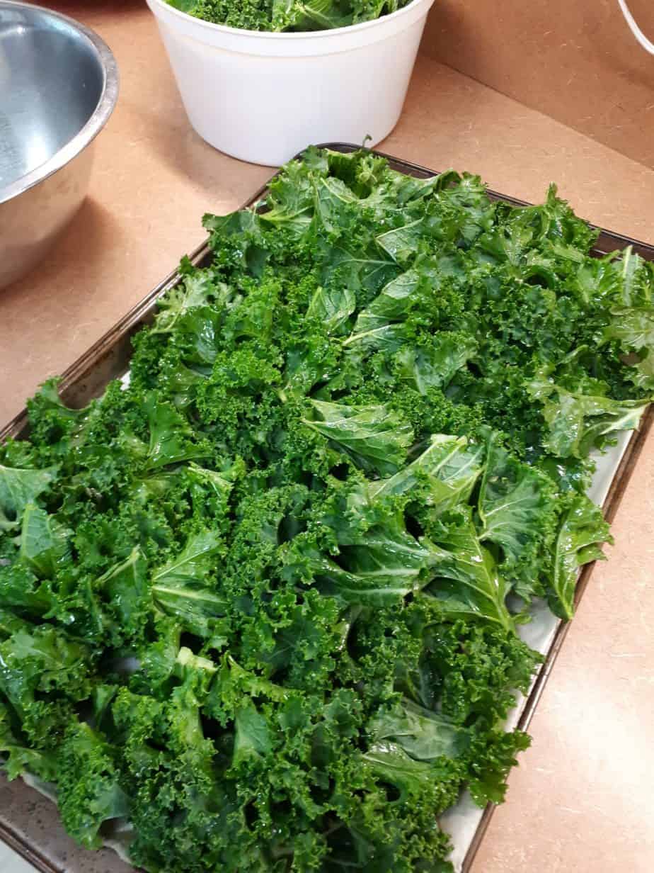 Easy Cheesy Kale Chips - Crispy Kale Baked In The Oven! - Just Living A ...